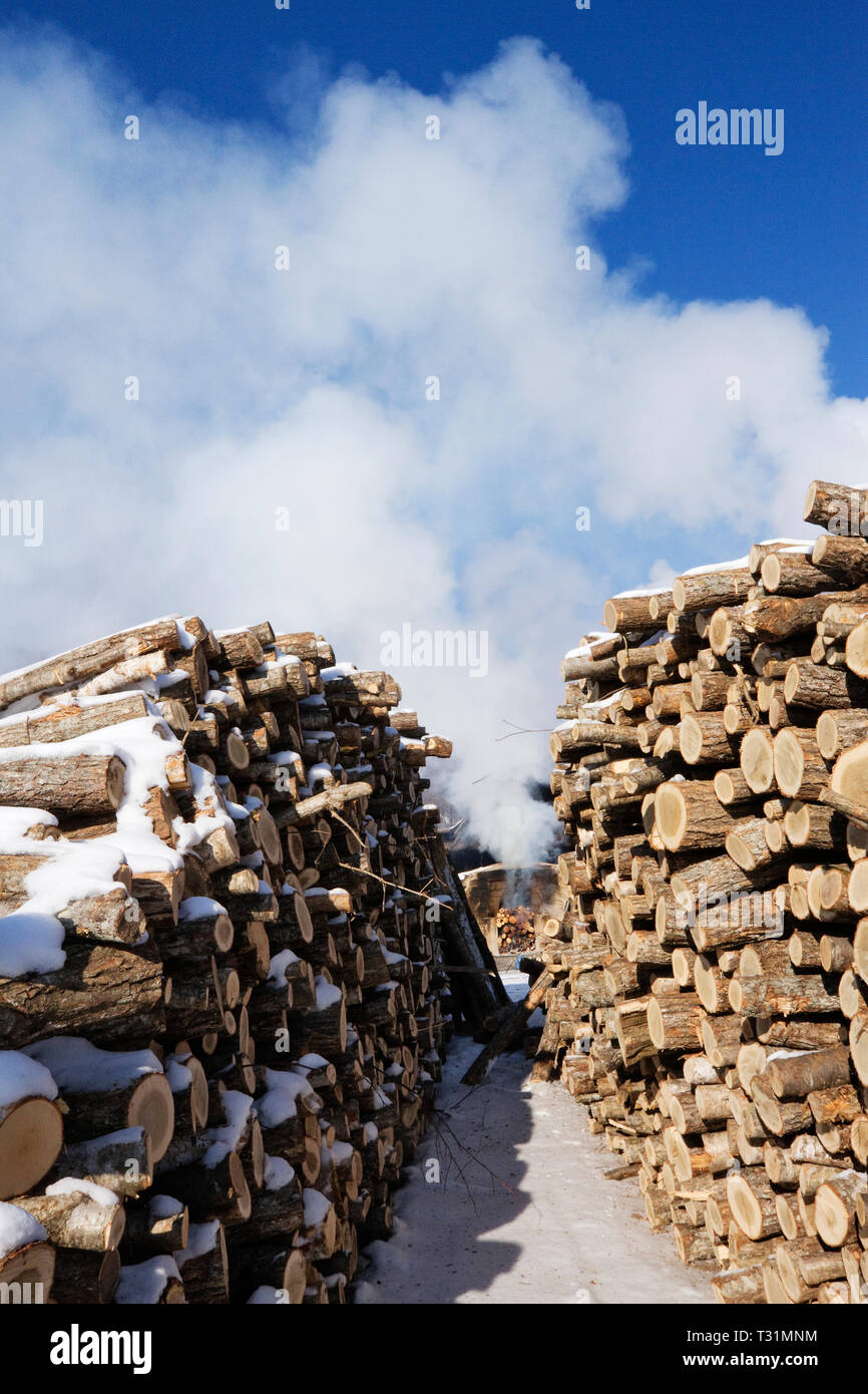 Stacks of Wood Stock Photo - Alamy