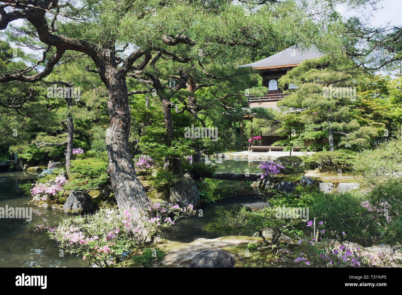 Japanese Garden and Pond Stock Photo - Alamy