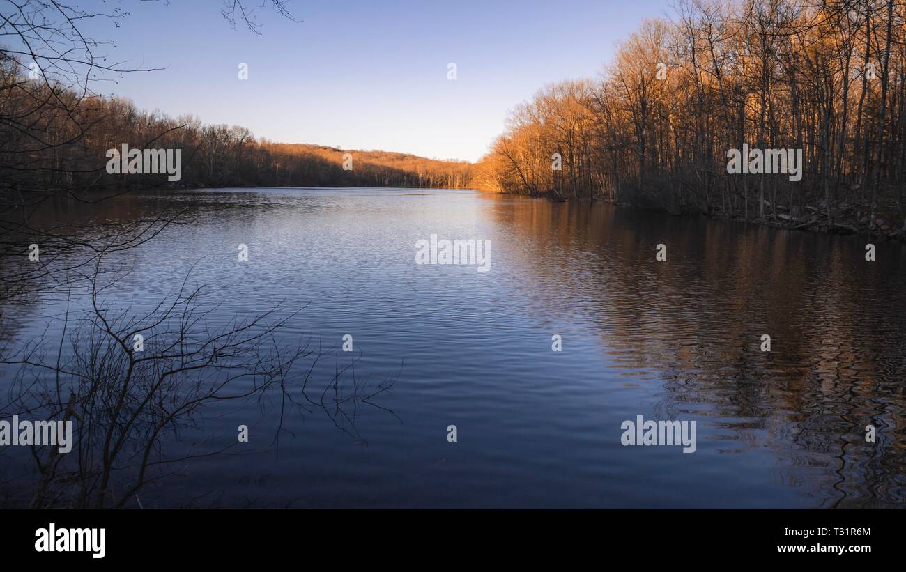 A peaceful lake location in nature for meditation and to get away from ...