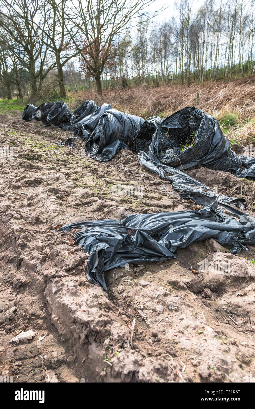 Plastic pollution field uk hi-res stock photography and images - Alamy