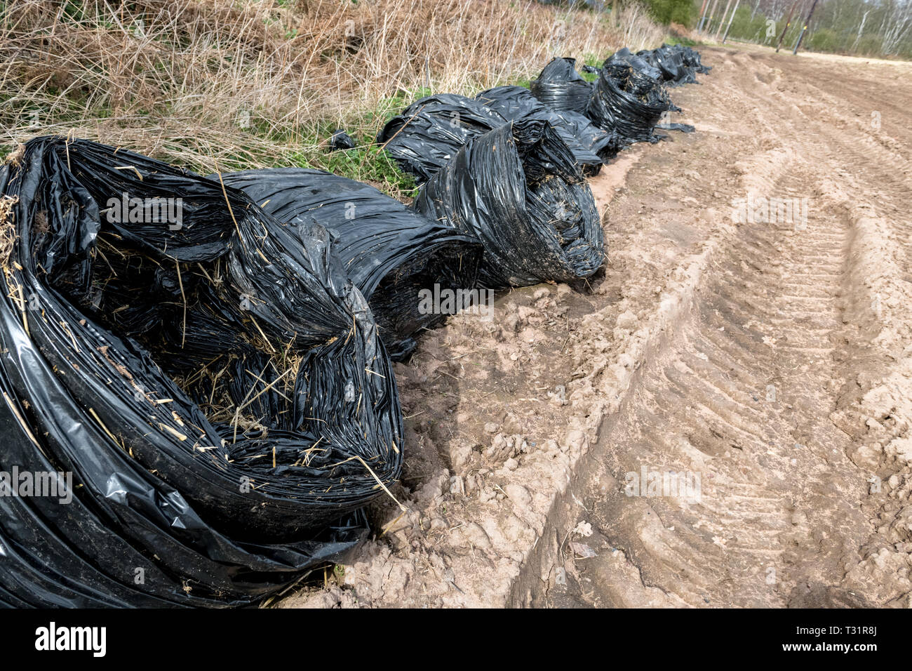 Plastic use farming hi-res stock photography and images - Alamy