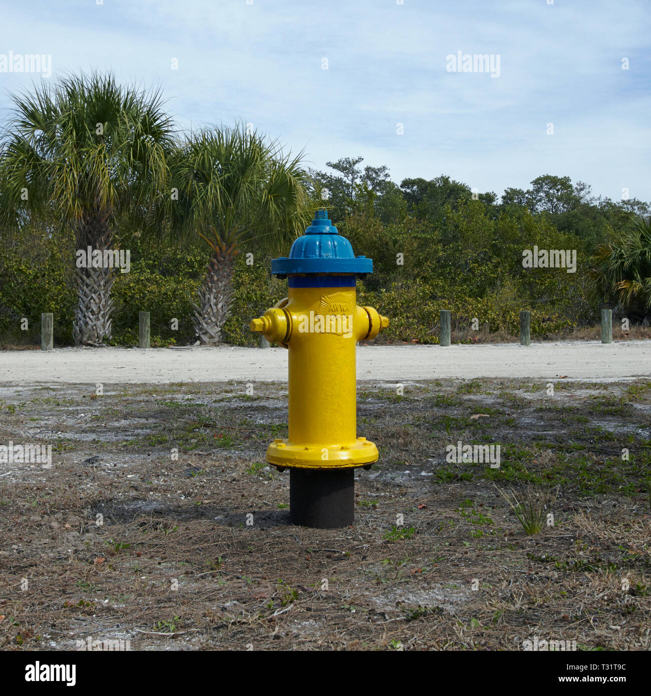 Beach Fire Hydrant Stock Photo - Alamy