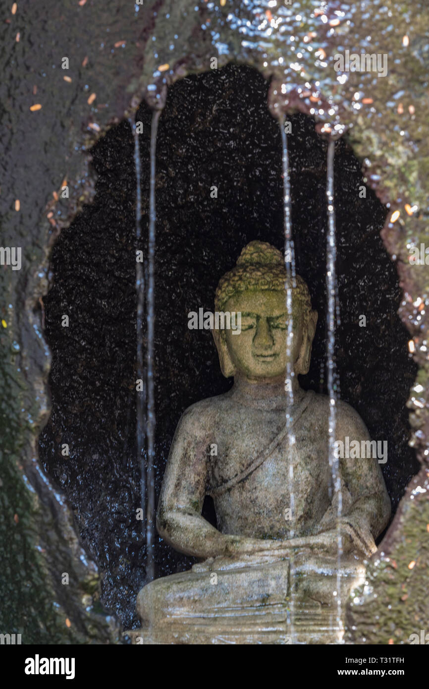 a waterfall water feature in a sacred garden in thailand with a buddha ...