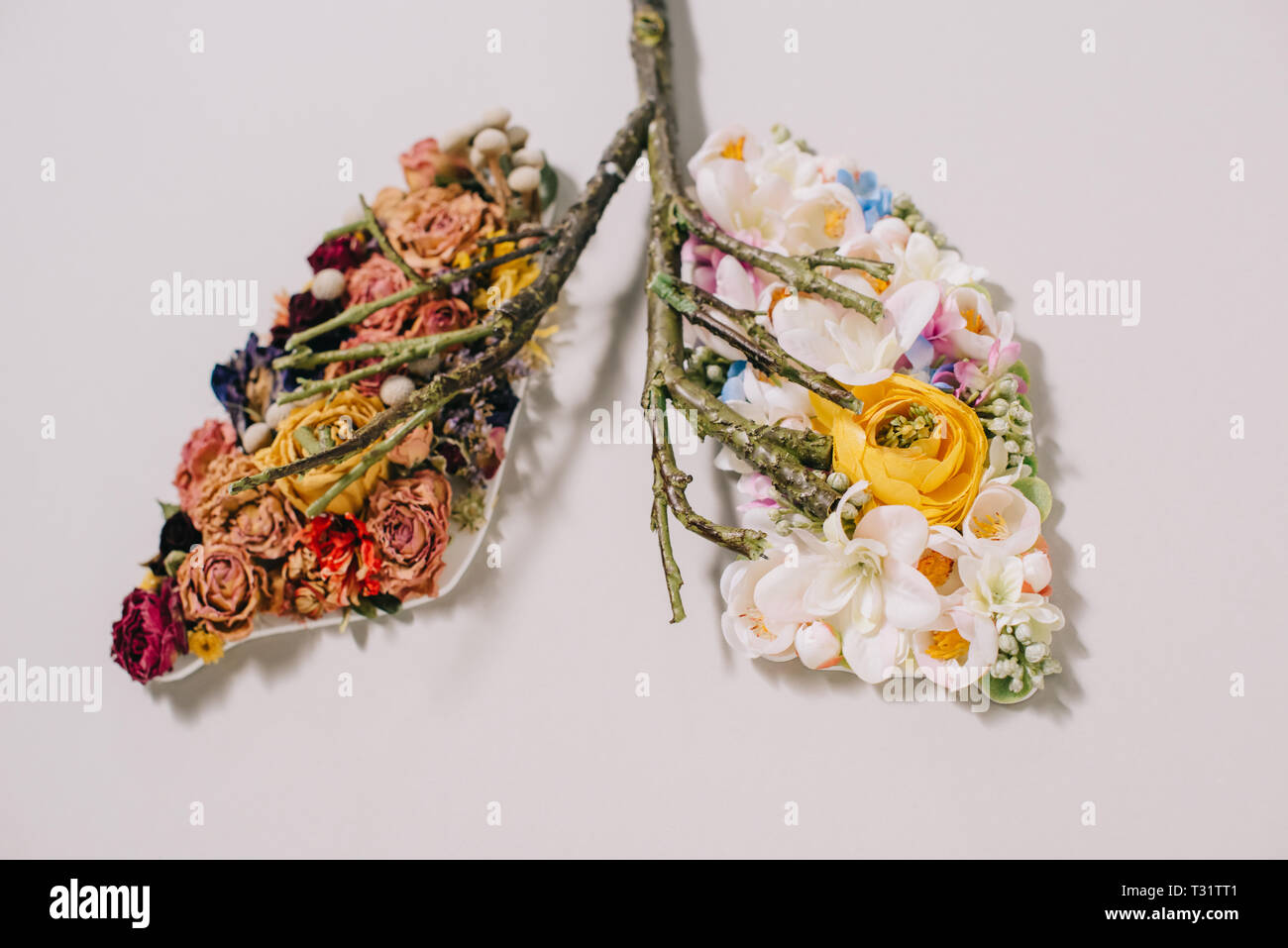 Floral lungs hi-res stock photography and images - Alamy