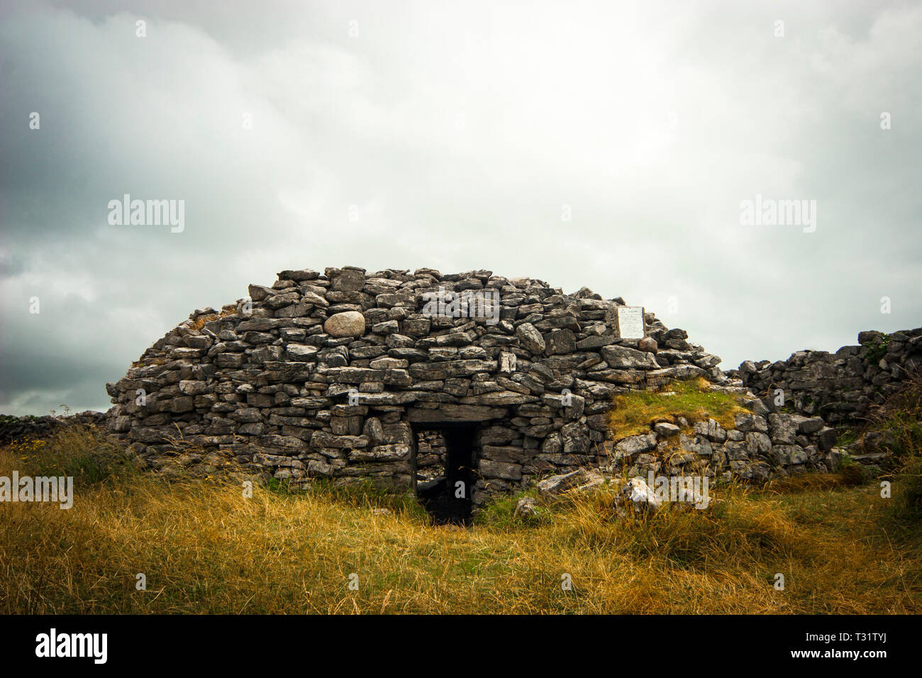 Struthan hi-res stock photography and images - Alamy