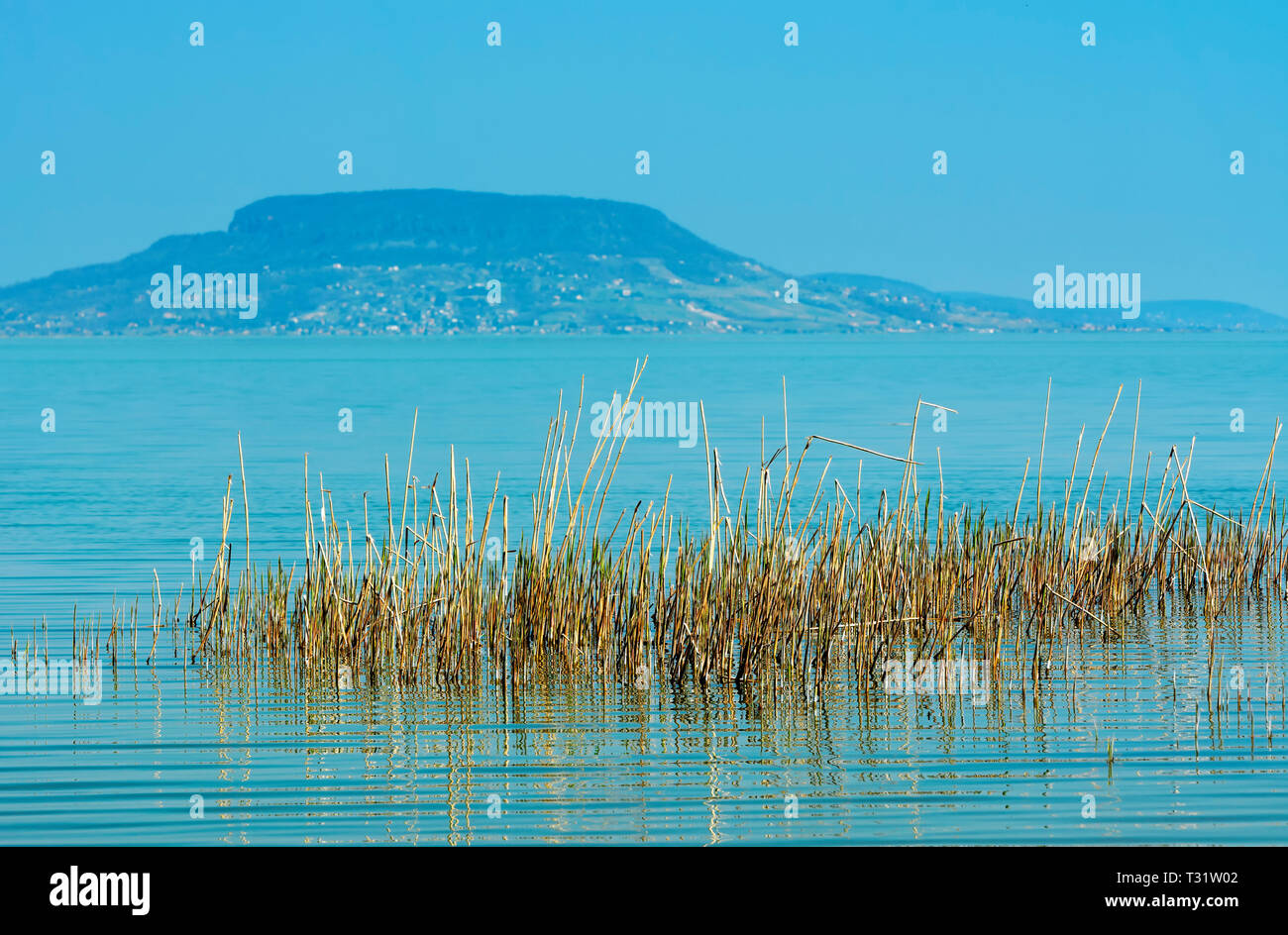 Balaton hi-res stock photography and images - Alamy