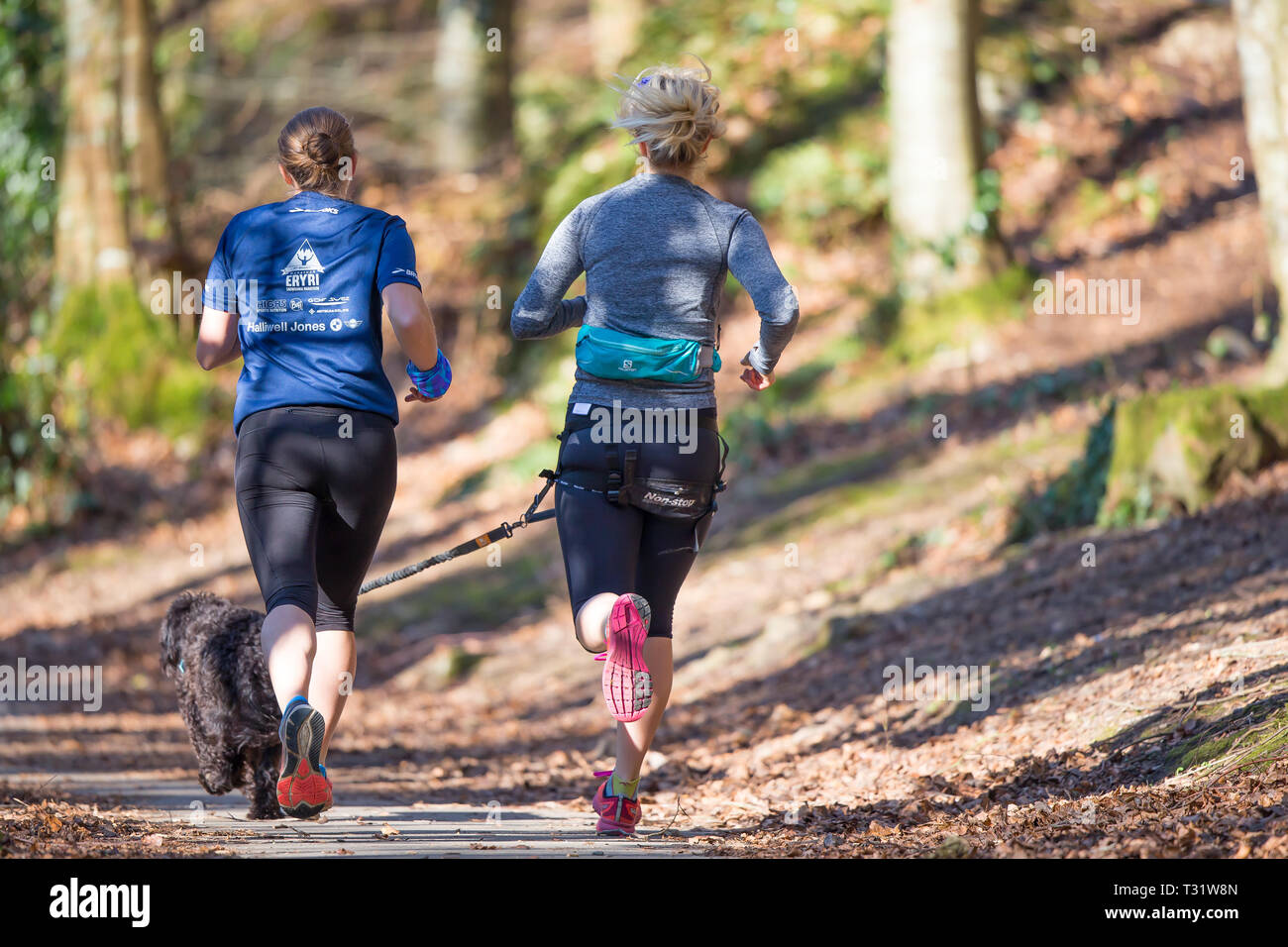 Female jogging spring hi-res stock photography and images - Alamy