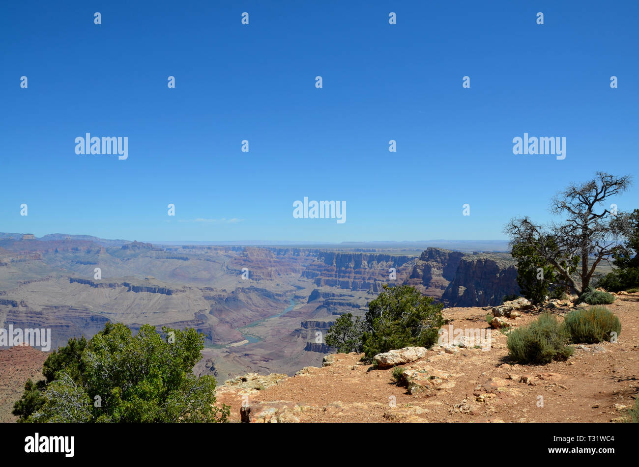 Grand Canyon South Rim Arizona USA Stock Photo - Alamy