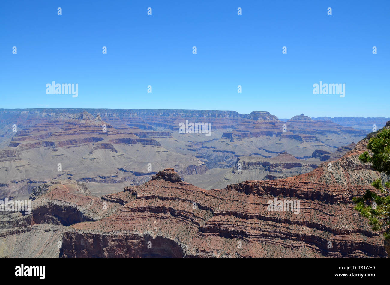 Long canyon cliff grand hi-res stock photography and images - Alamy