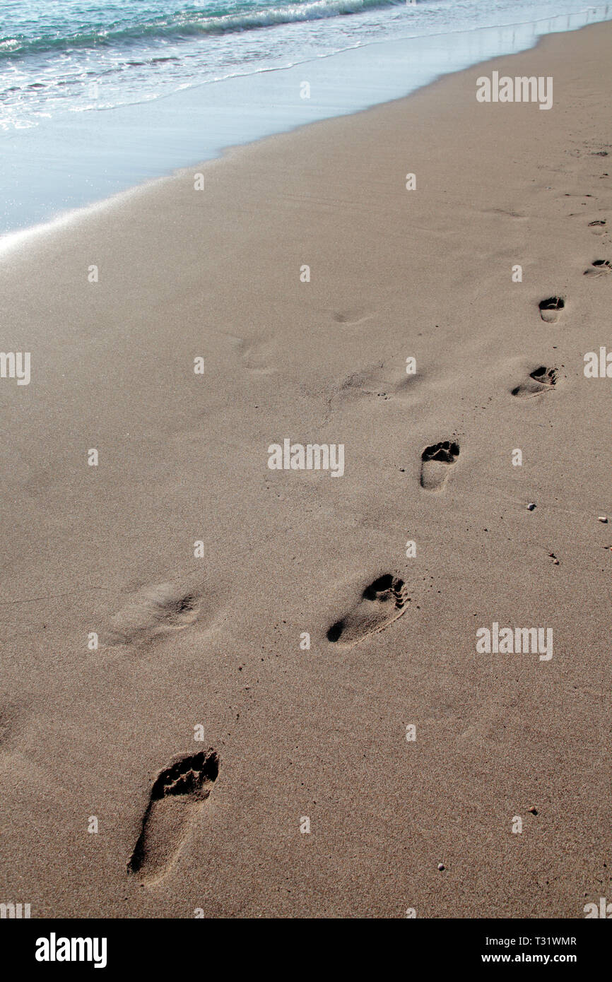 Footsteps on the sand Stock Photo - Alamy