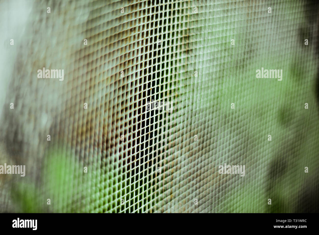 Plastic mesh, texture of green surface with depth of field. Abstract ...