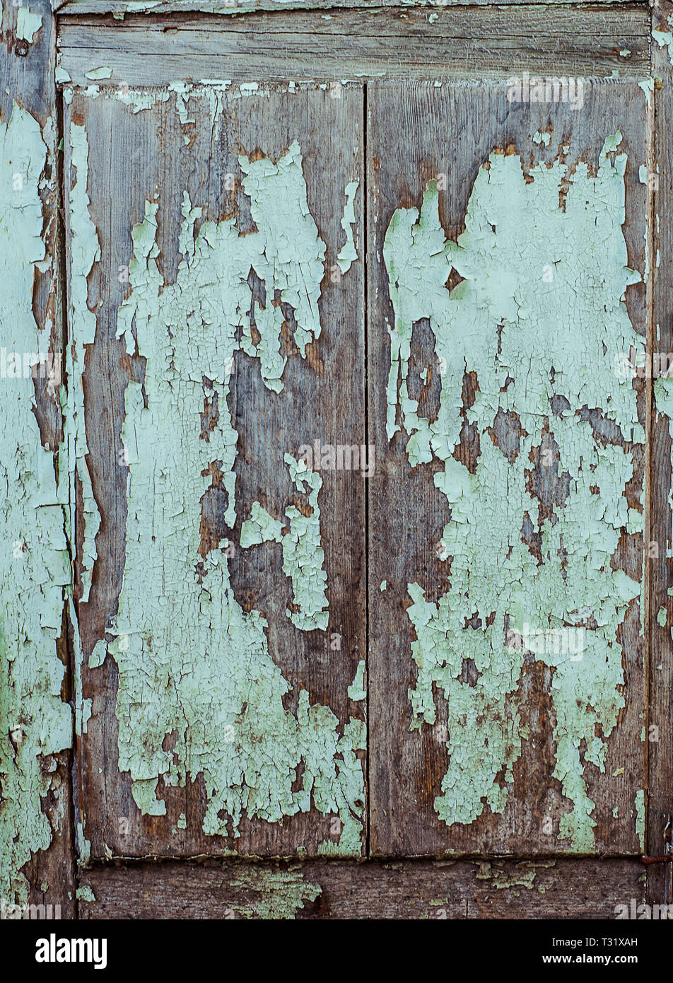 Texture of old rusty wood, painted grey with spots of first wood layer ...