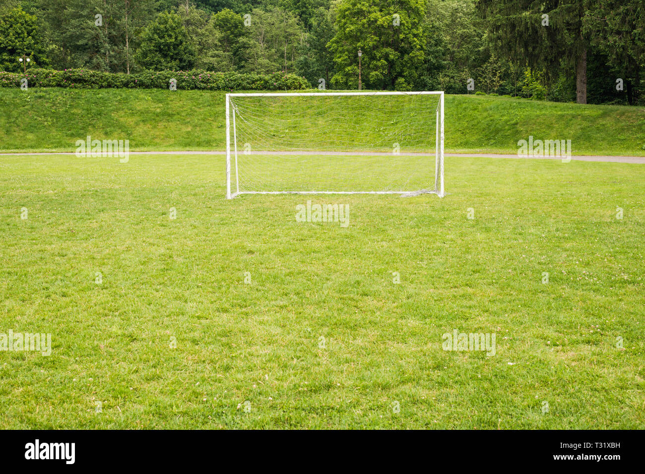 empty goal gate on trimmed grass lawn outdoors Stock Photo - Alamy