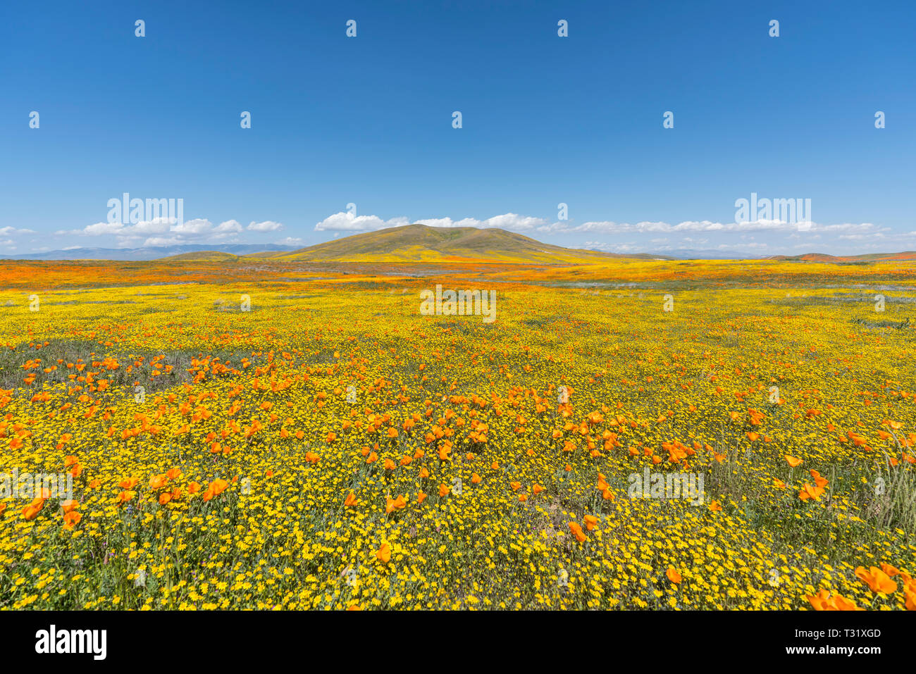 Super landscape hi-res stock photography and images - Alamy