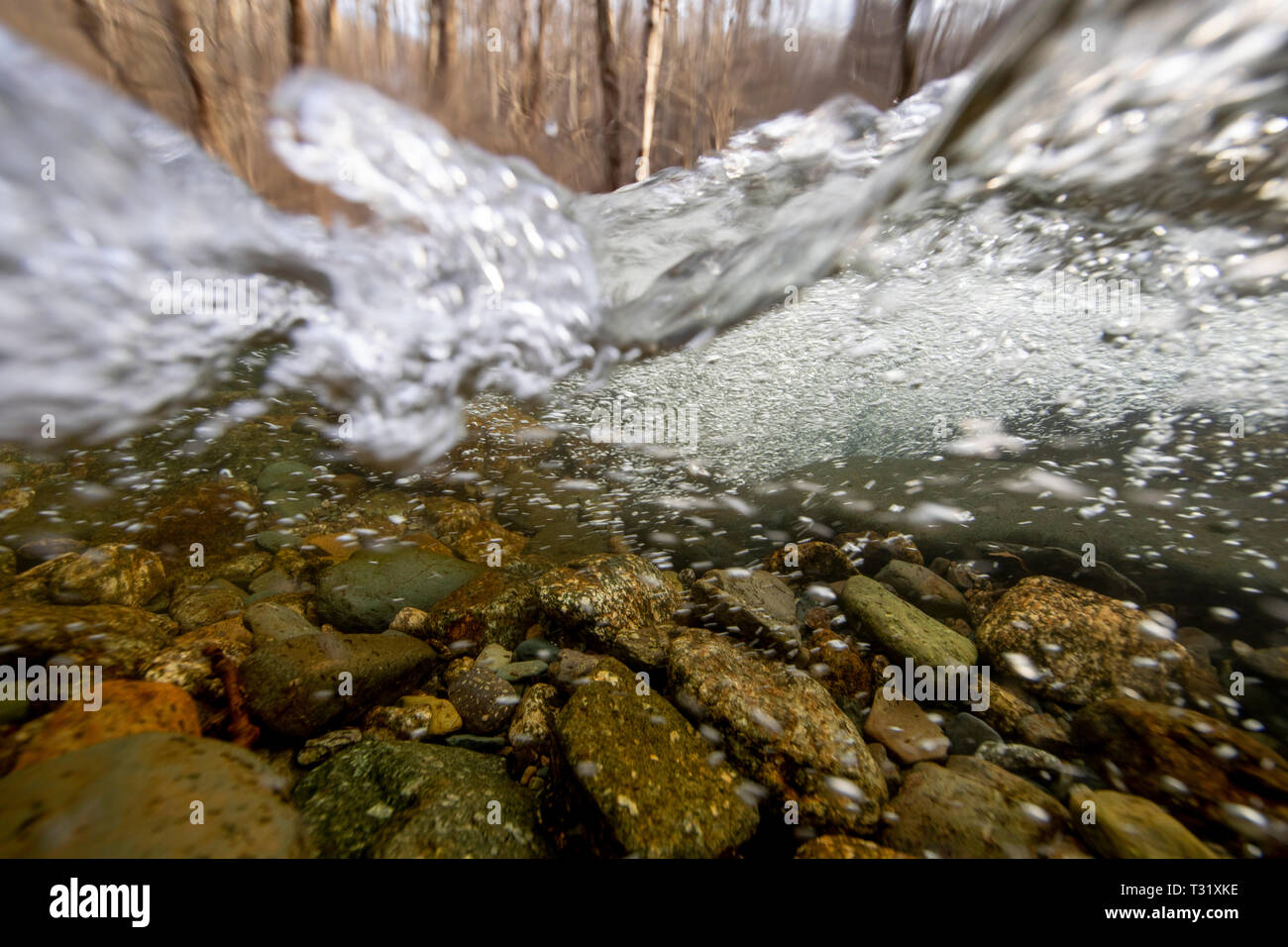Rapidan River Underwater. Shenandoah National Park Stock Photo - Alamy
