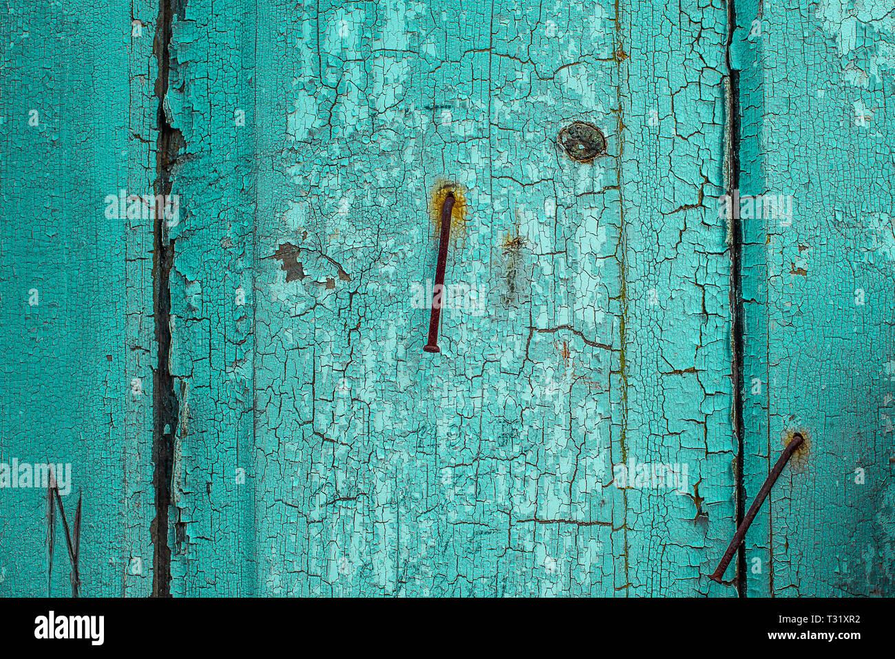 Texture of old rusty wood, painted green with spots of first dark layer ...