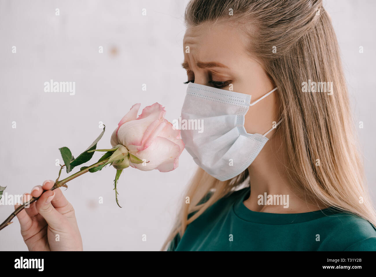 blonde woman with pollen allergy wearing medical mask and smelling rose ...