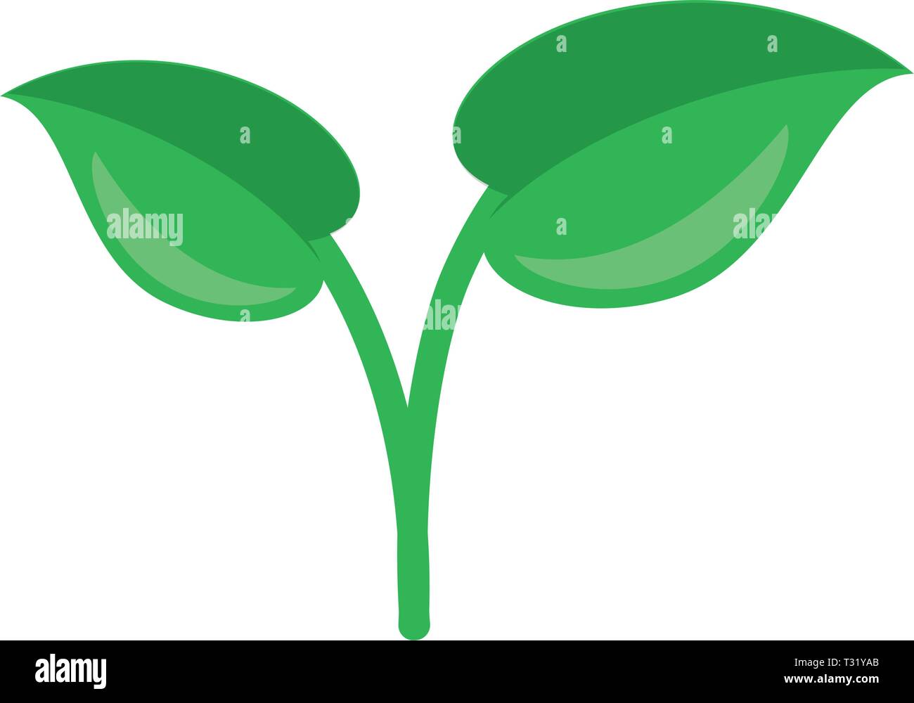 Plant leaves cartoon isolated Stock Vector Image & Art - Alamy