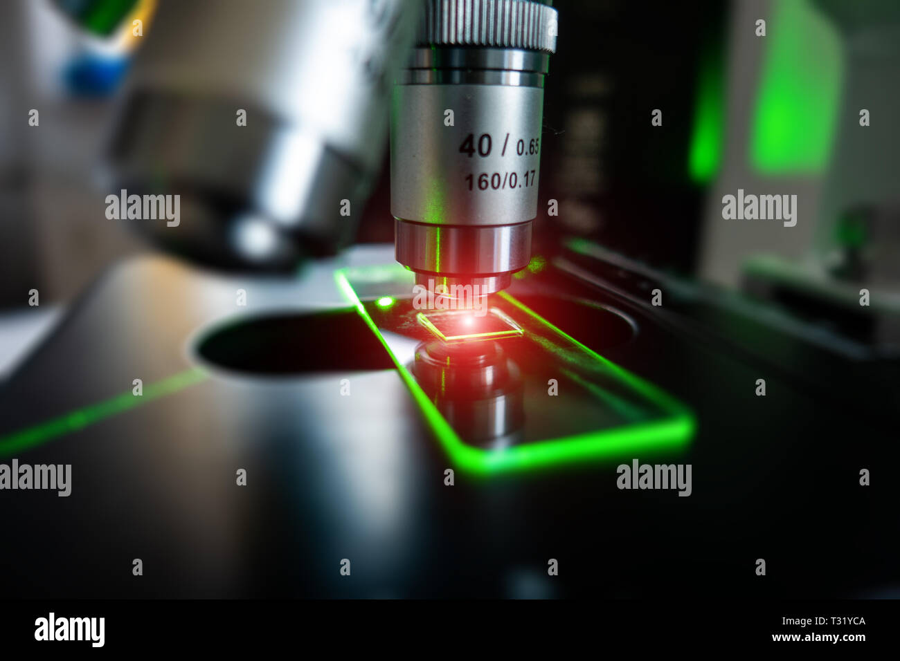 Microscope slide and closeup hi-res stock photography and images - Alamy