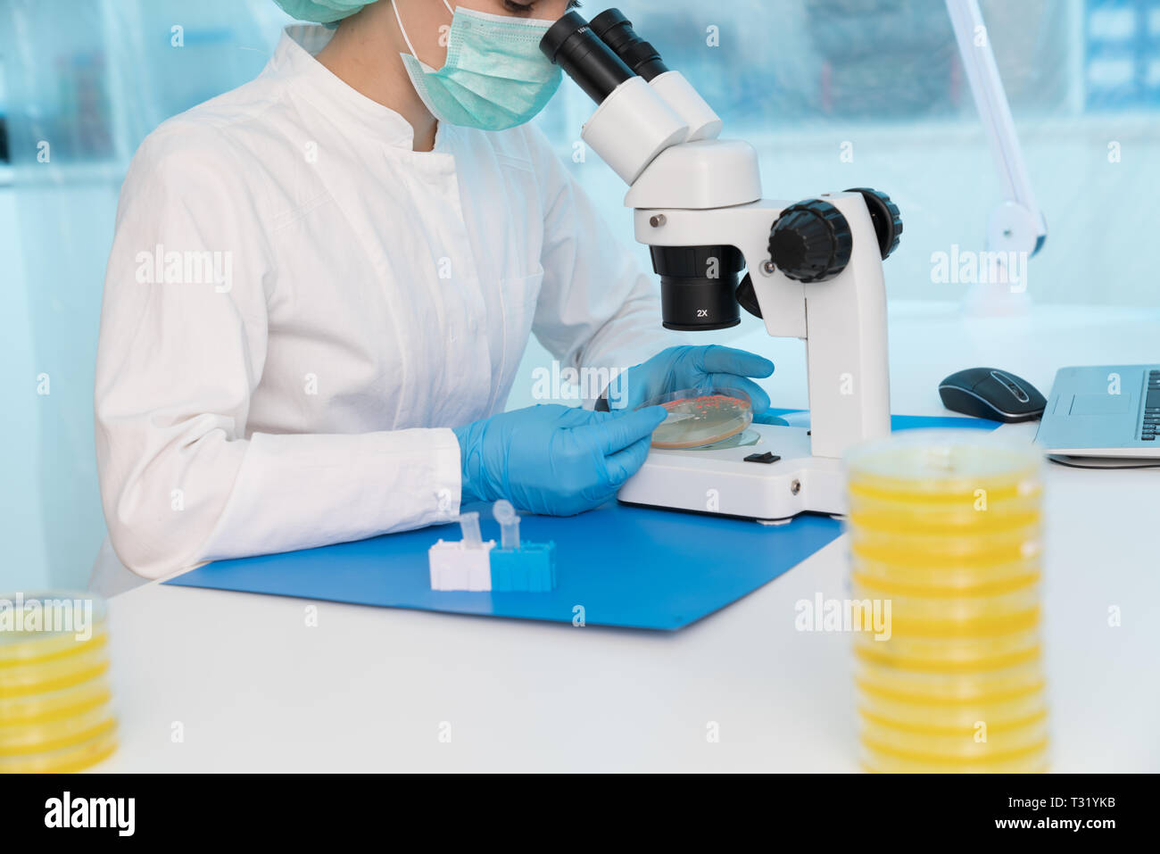 Biochemistry research hi-res stock photography and images - Alamy