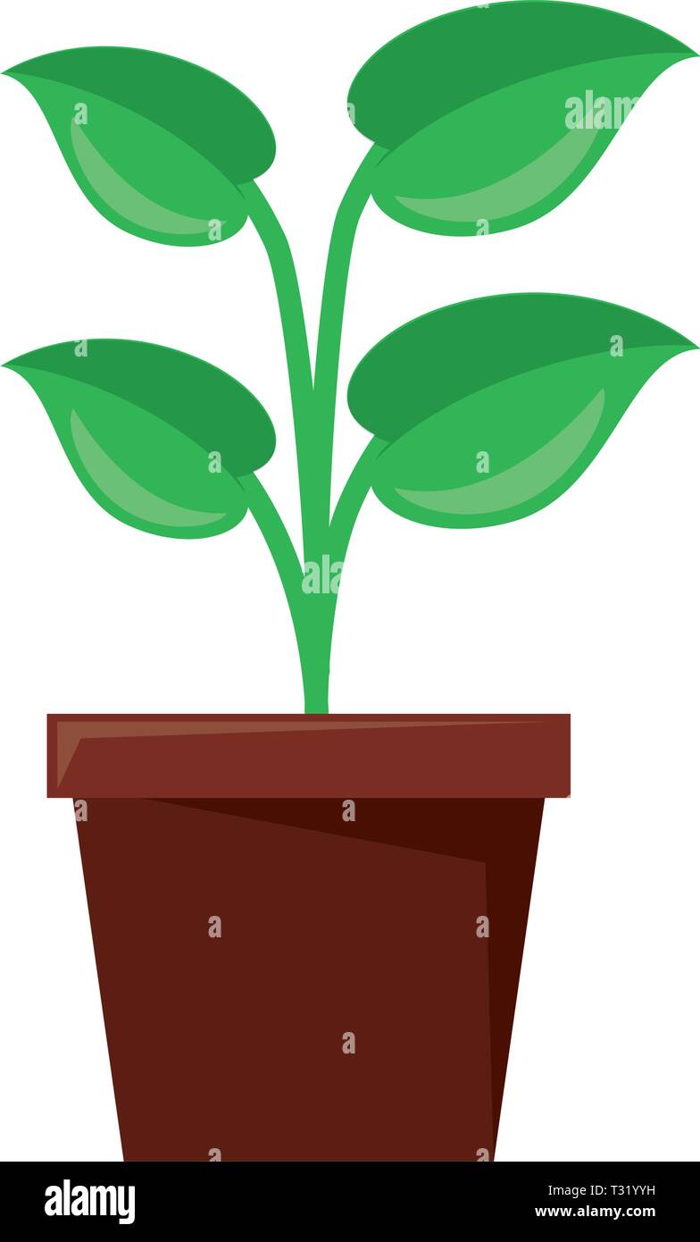 Plant pot cartoon isolated Stock Vector Image & Art - Alamy