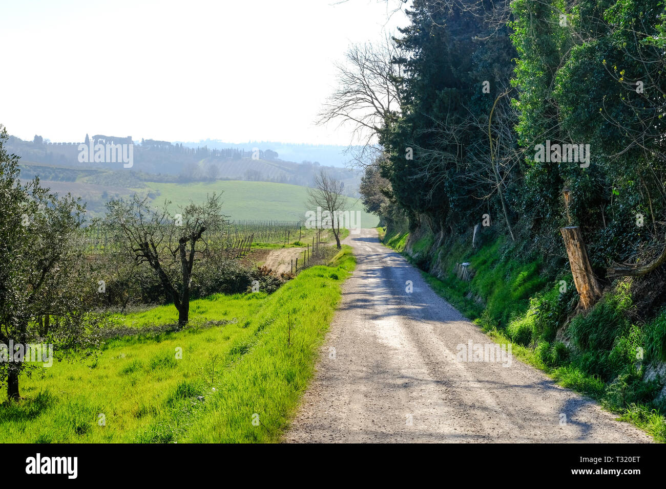 Francigena road lucca siena hi-res stock photography and images - Alamy