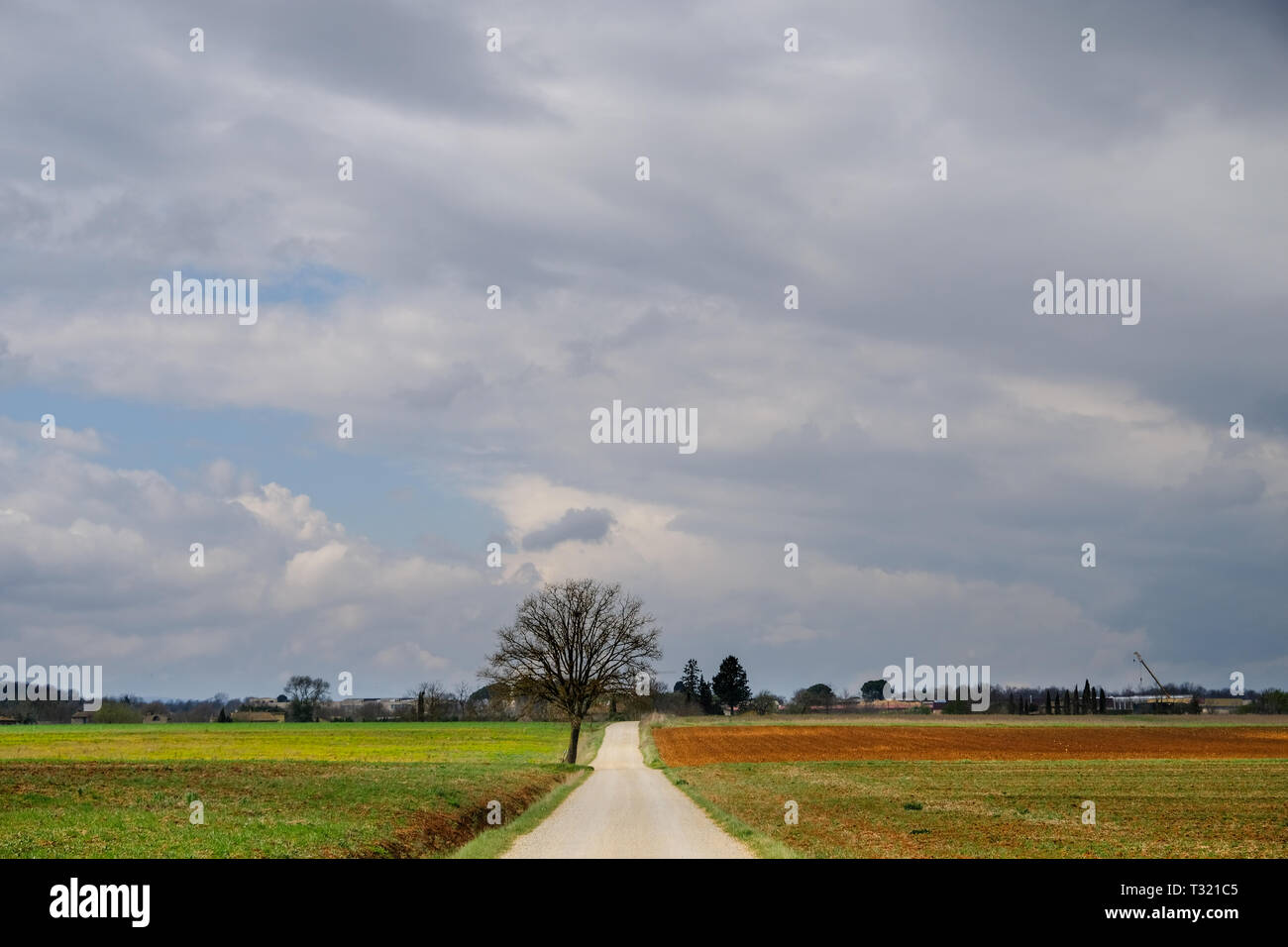 Francigena road lucca siena hi-res stock photography and images - Alamy