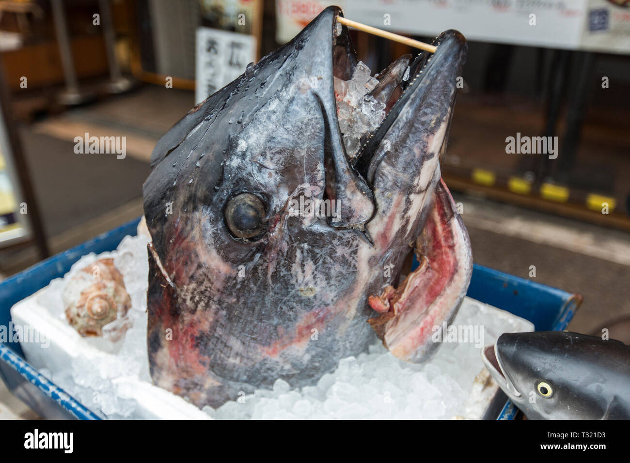 Tuna head hi-res stock photography and images - Alamy