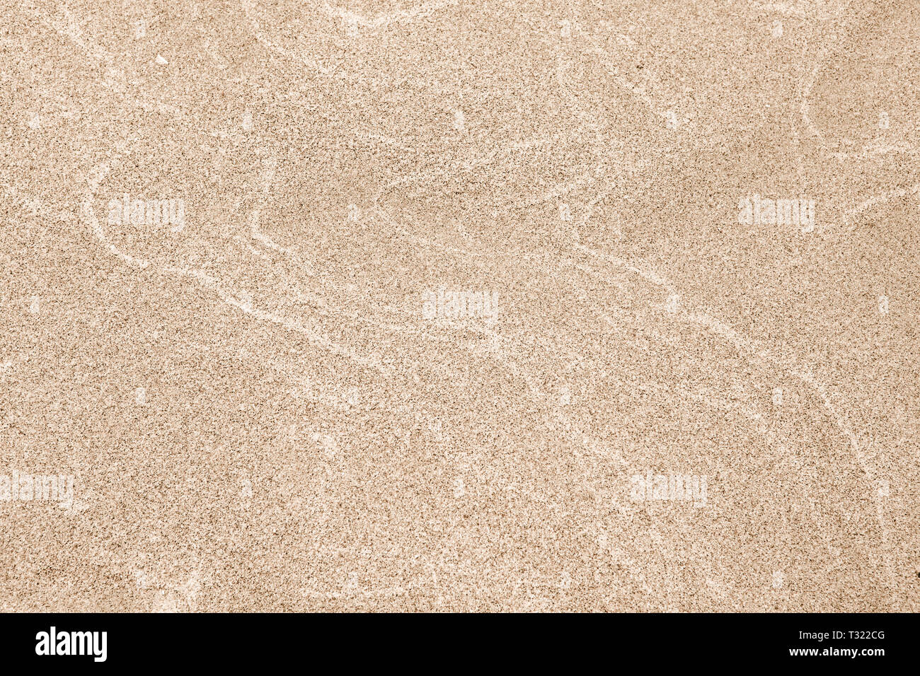 A top down shot of a dry river beige sand bottom full of texture and ...