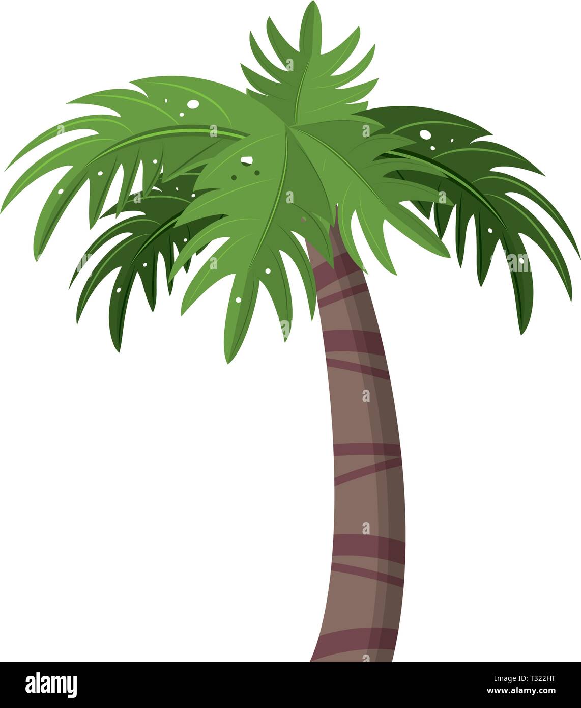 Beach palm tree isolated Stock Vector Image & Art - Alamy