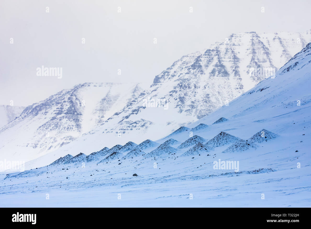 Bumps on the mountain for breaking up avalanches near Flateyri in the ...