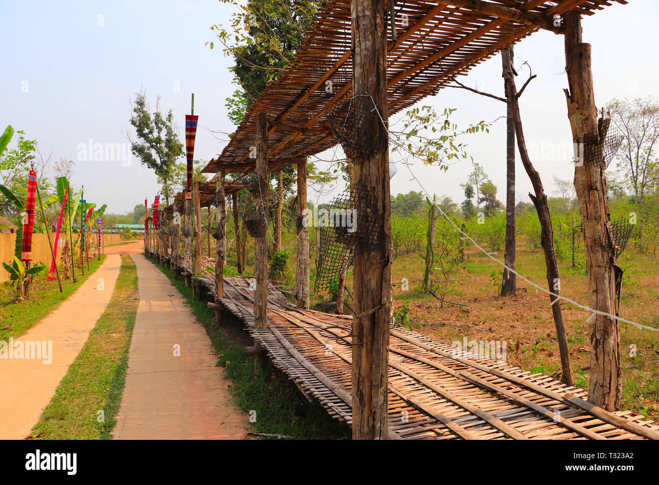 Bamboo Shed High Resolution Stock Photography and Images - Alamy