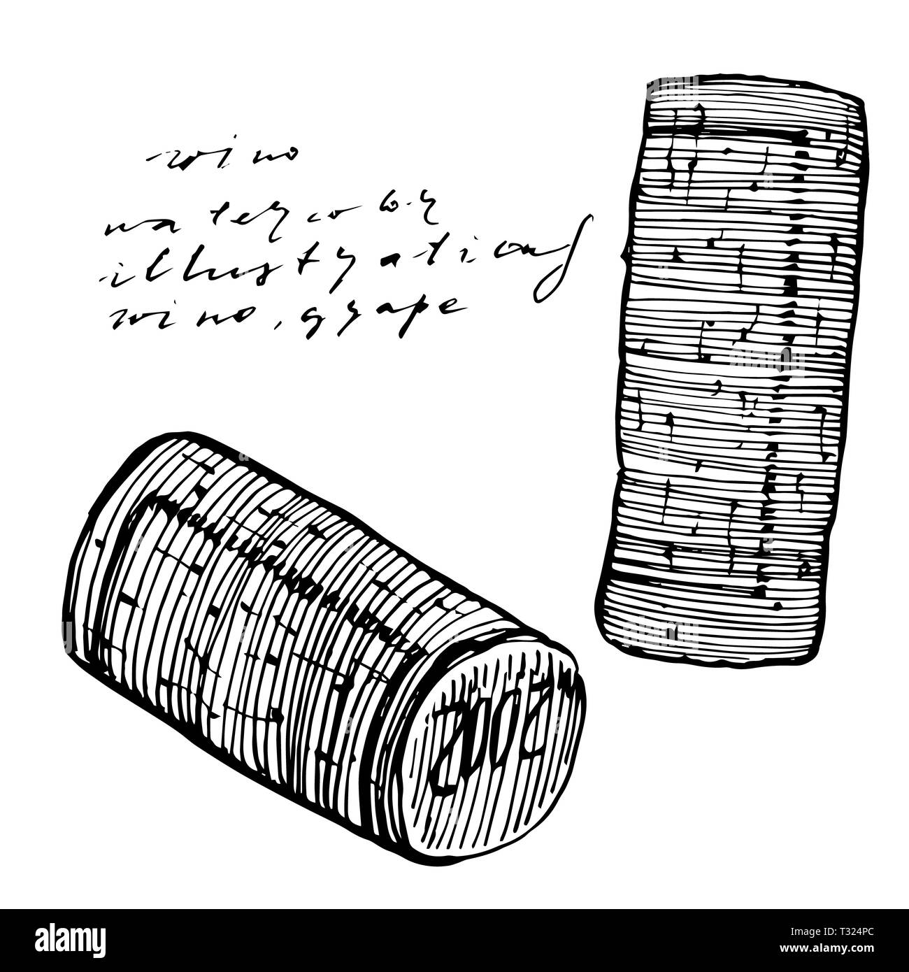 Traditional wine cork. Isolated on white background. Hand drawn ...