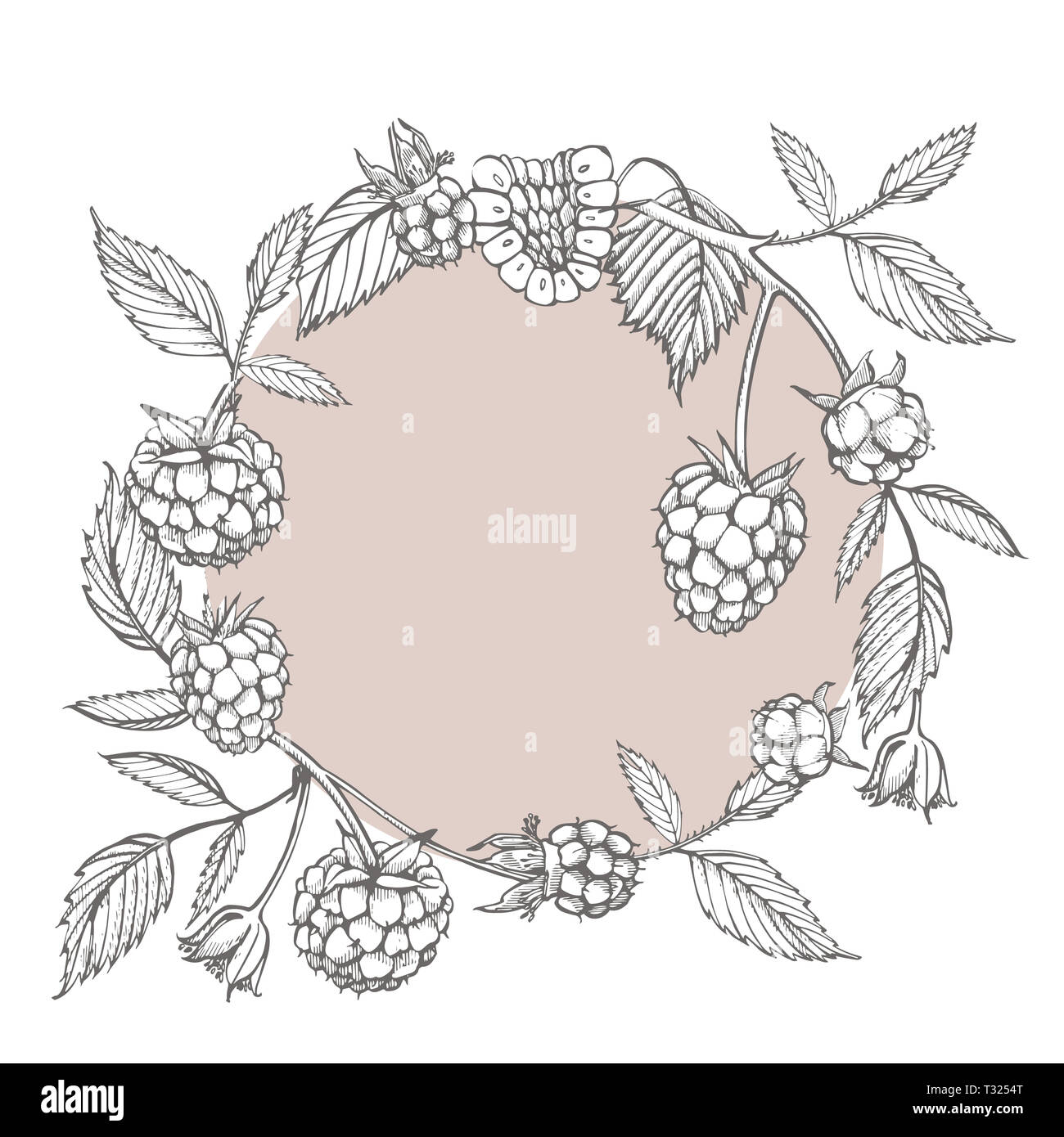 Hand drawn raspberry set isolated on white background. Retro sketch ...