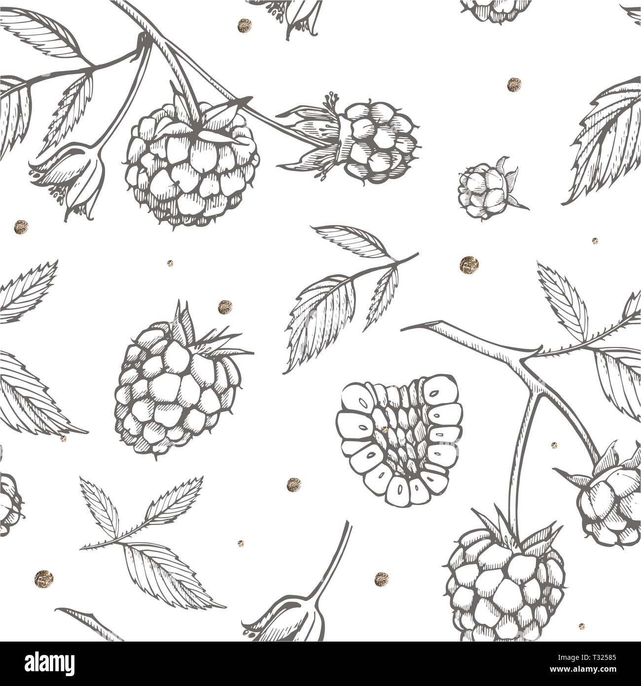 Hand drawn raspberry. Retro sketch style illustration. Perfect for ...