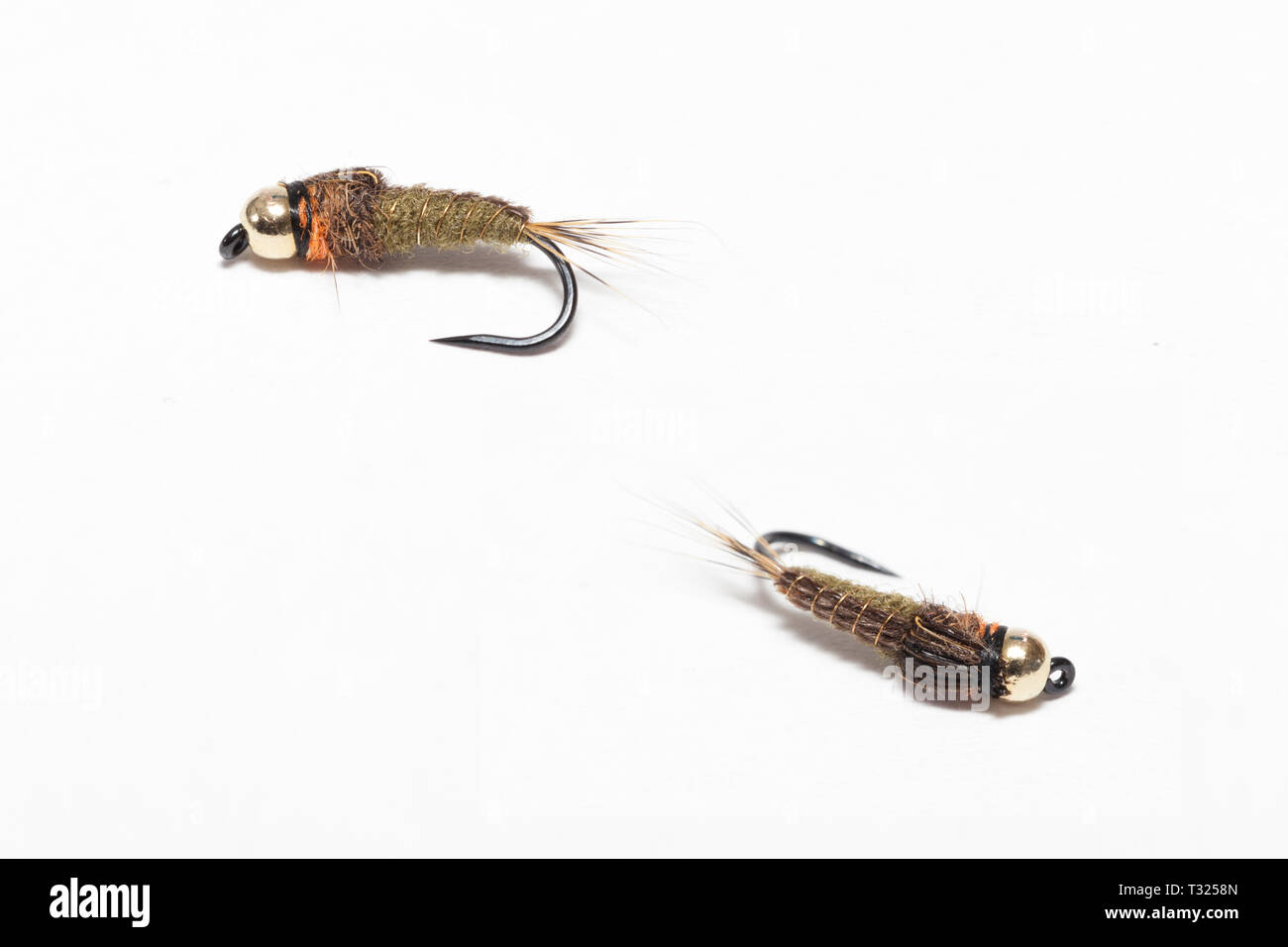 Wet flies Cut Out Stock Images & Pictures - Alamy