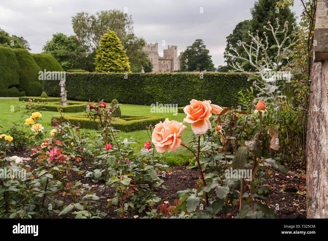The Rose Gardens at Raby Castle,Staindrop,England,UK Stock Photo - Alamy