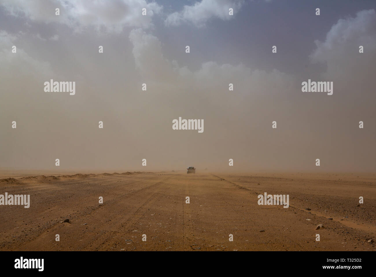 Dust Storm on a Road in Sahara Stock Photo - Alamy