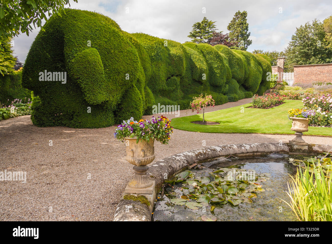 The manicured hedges and gardens at Raby Castle,Staindrop,England,UK ...