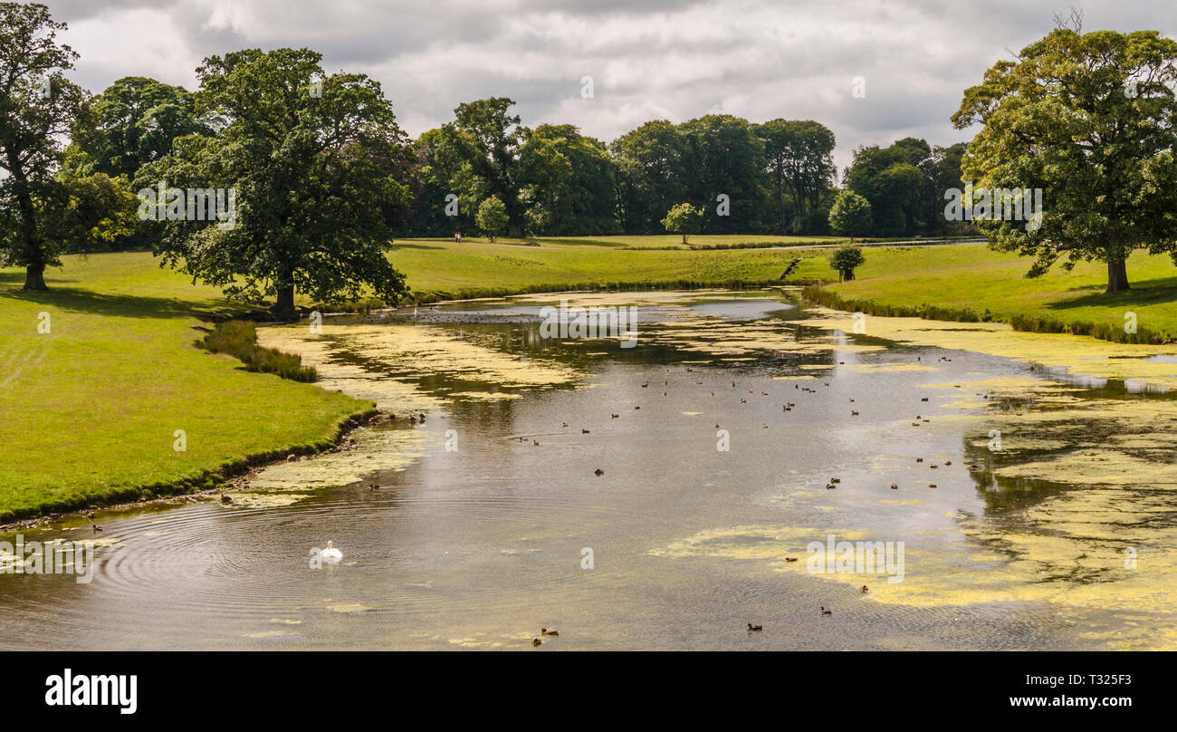 The lake and grounds at Raby Castle,Staindrop,England,UK Stock Photo ...