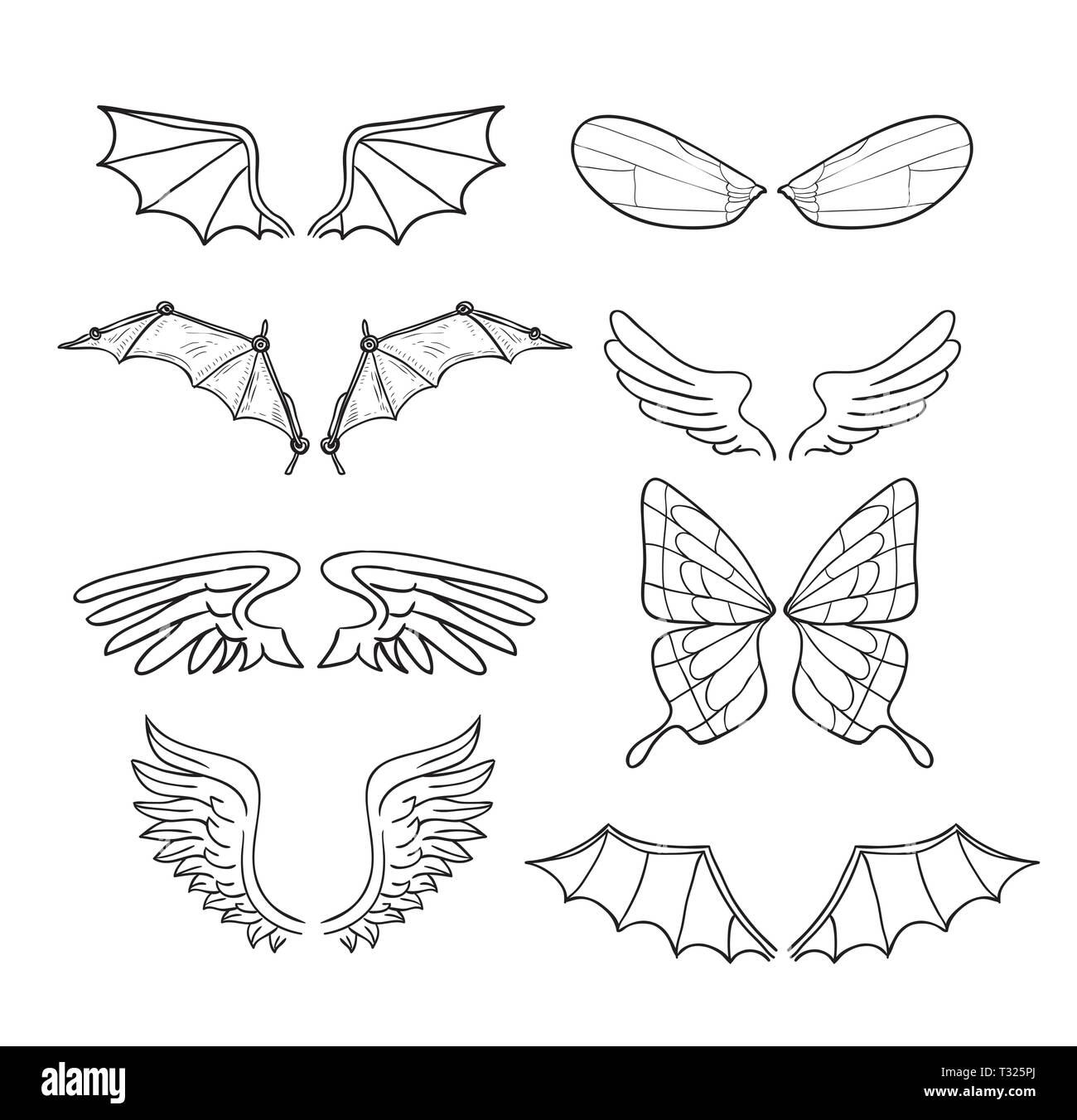 Stylized wing hi-res stock photography and images - Alamy