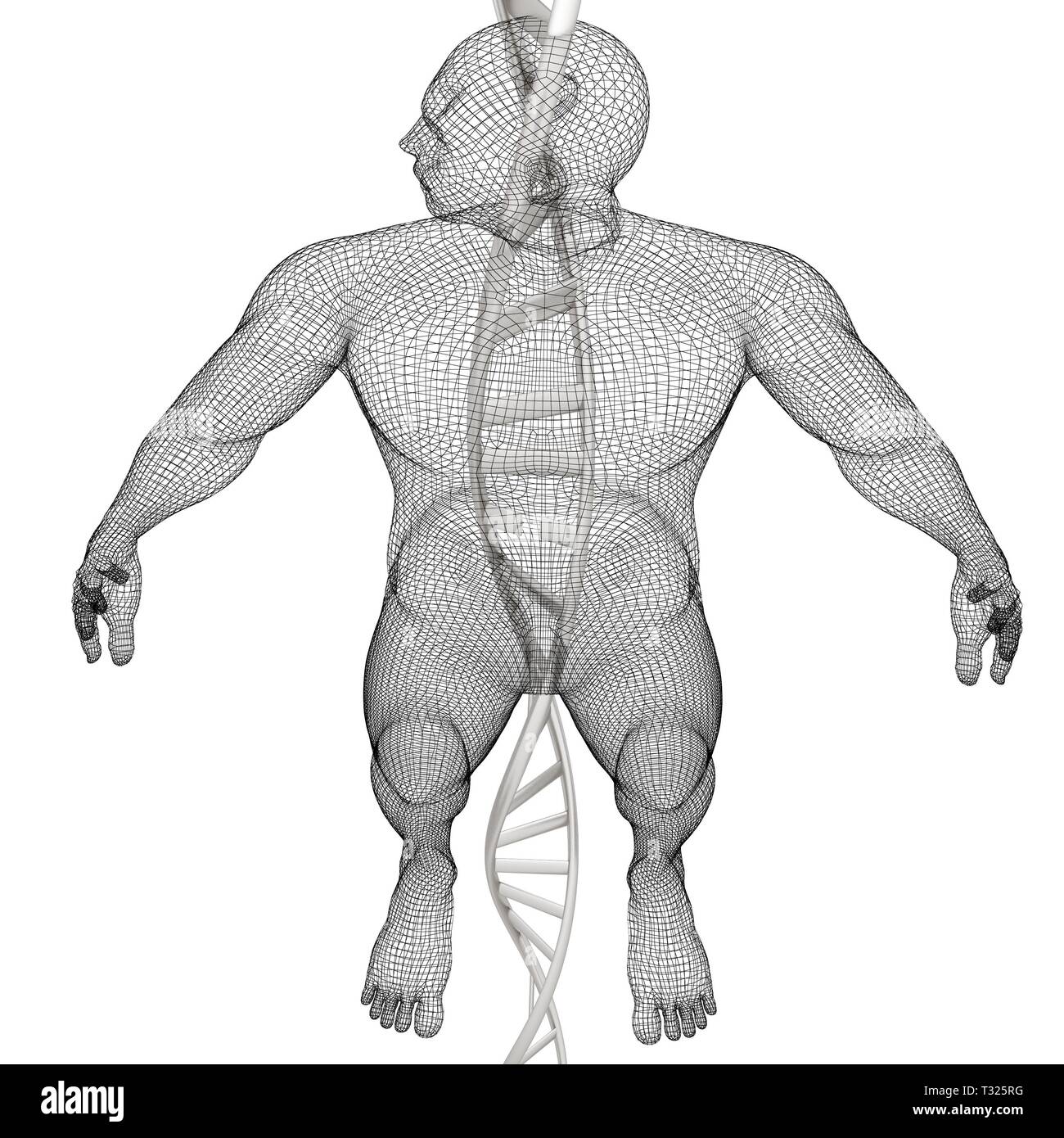 3D medical background with DNA strands and human. 3d render Stock Photo ...