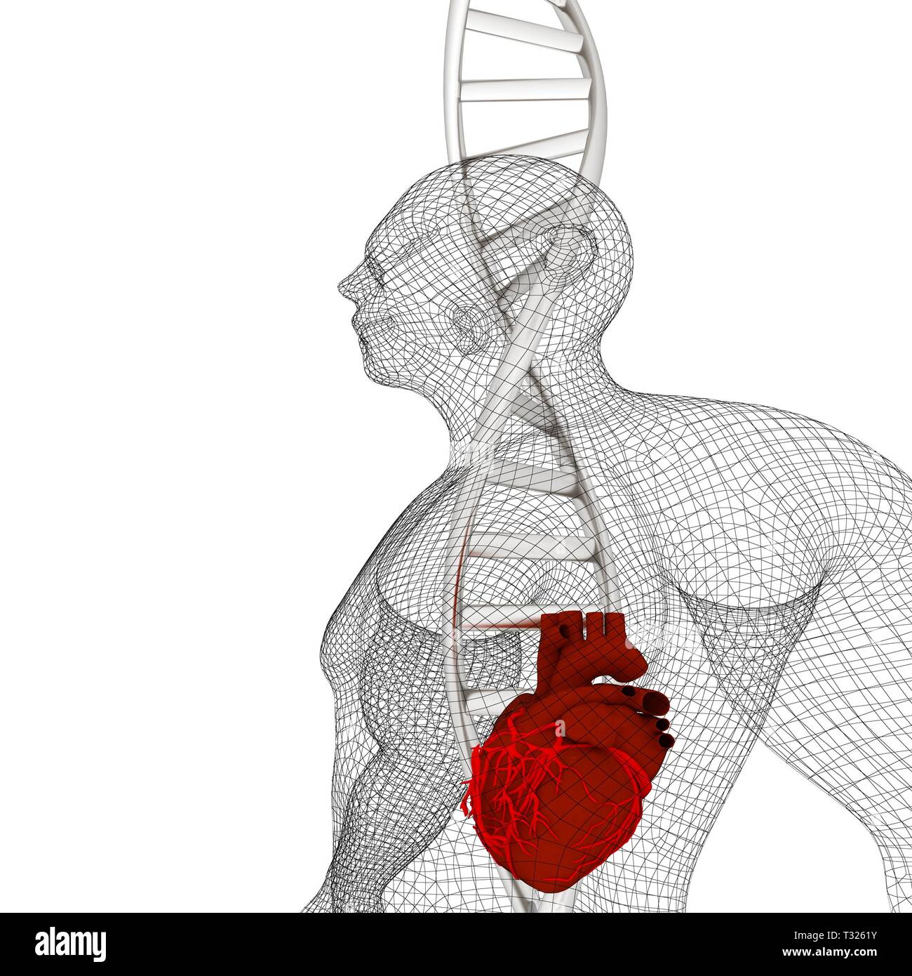 3D medical background with DNA strands and Heart in human. 3d render ...