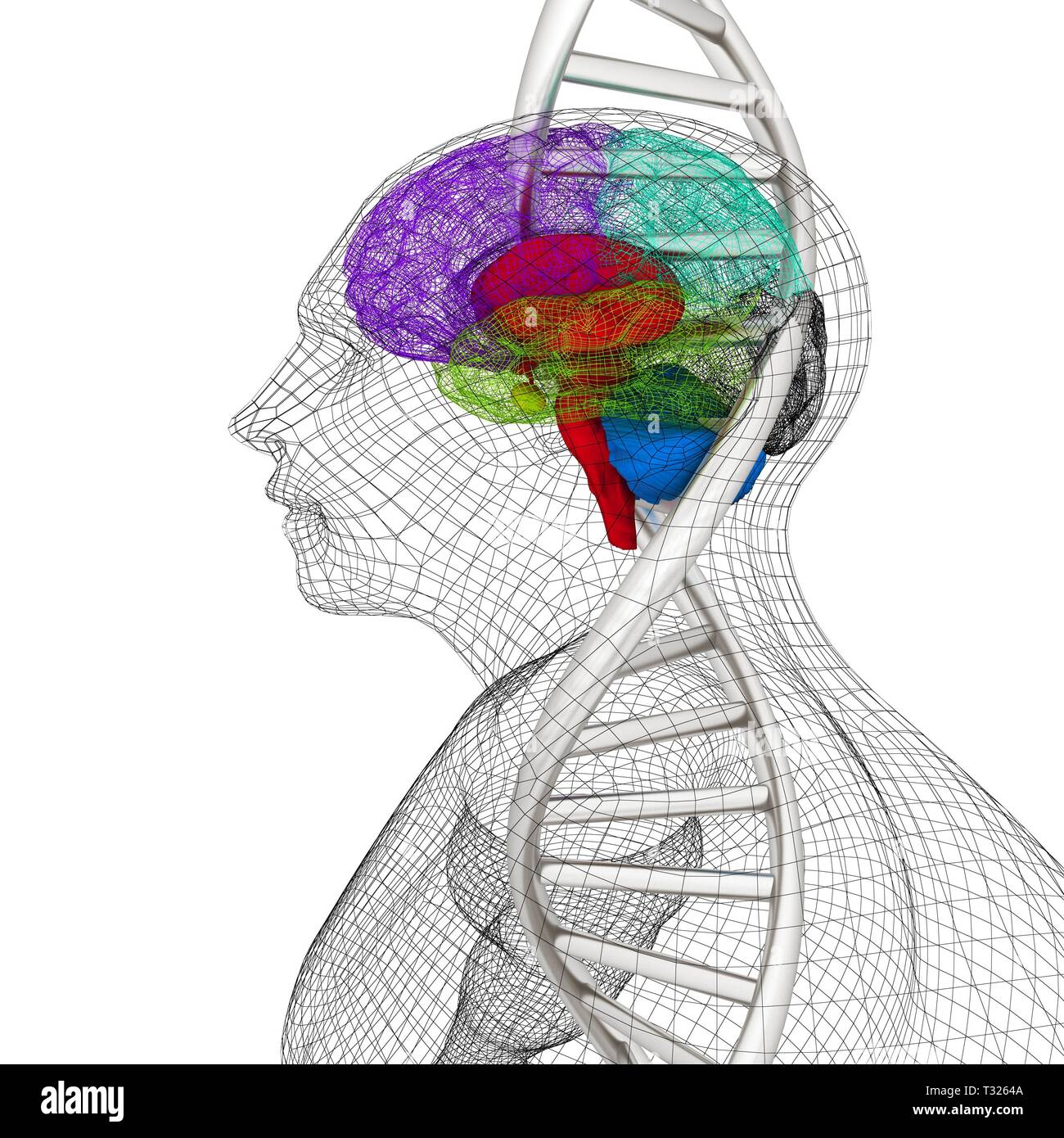 3D medical background with human, brain and DNA strands. 3d render ...
