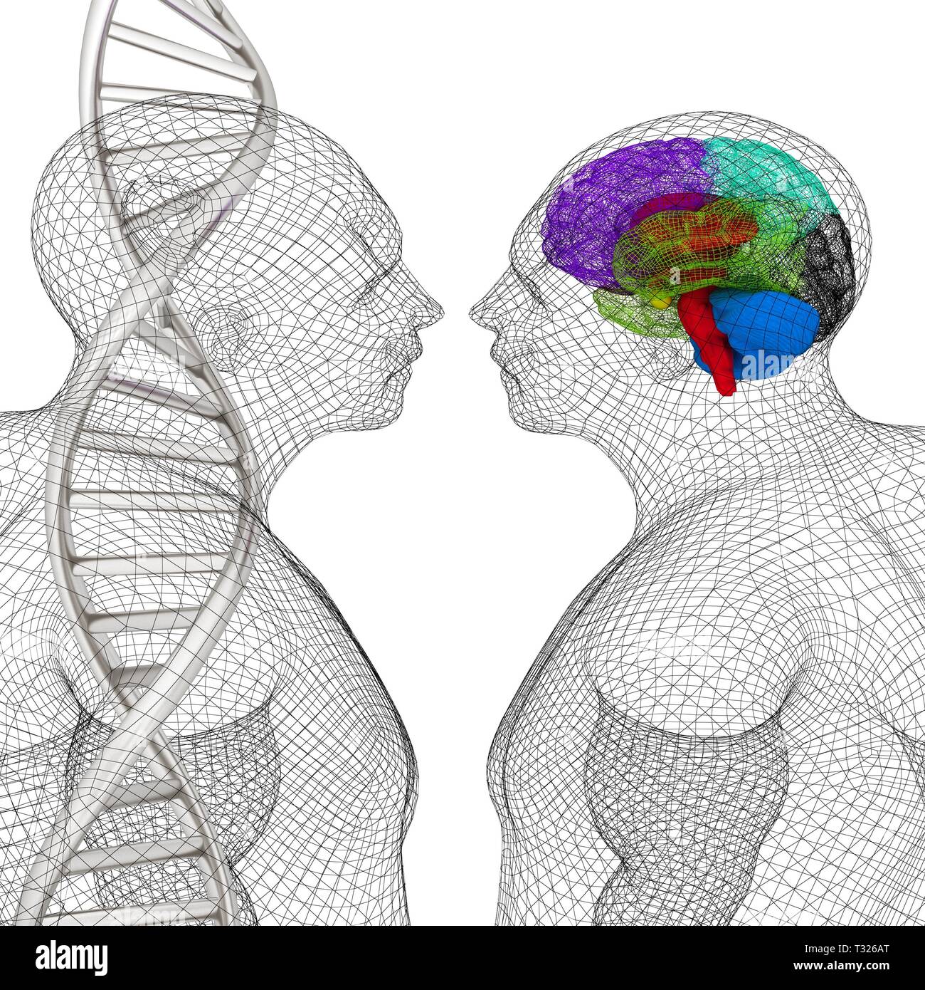 3D medical background with human, brain and DNA strands. 3d render ...