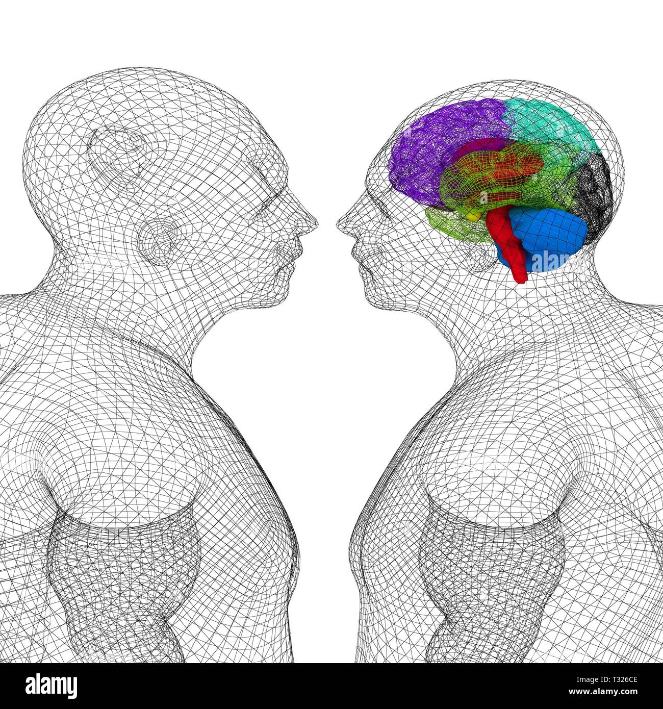 Wire human model with brain and a model of a person without a brain. 3d ...