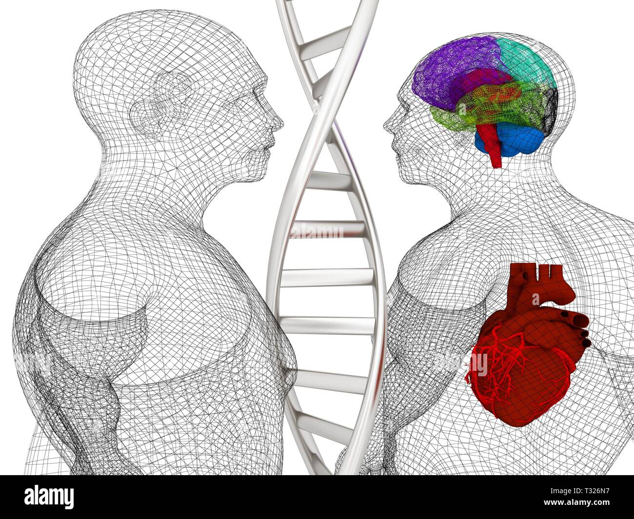 3D medical background with DNA strands and wire human body model with ...