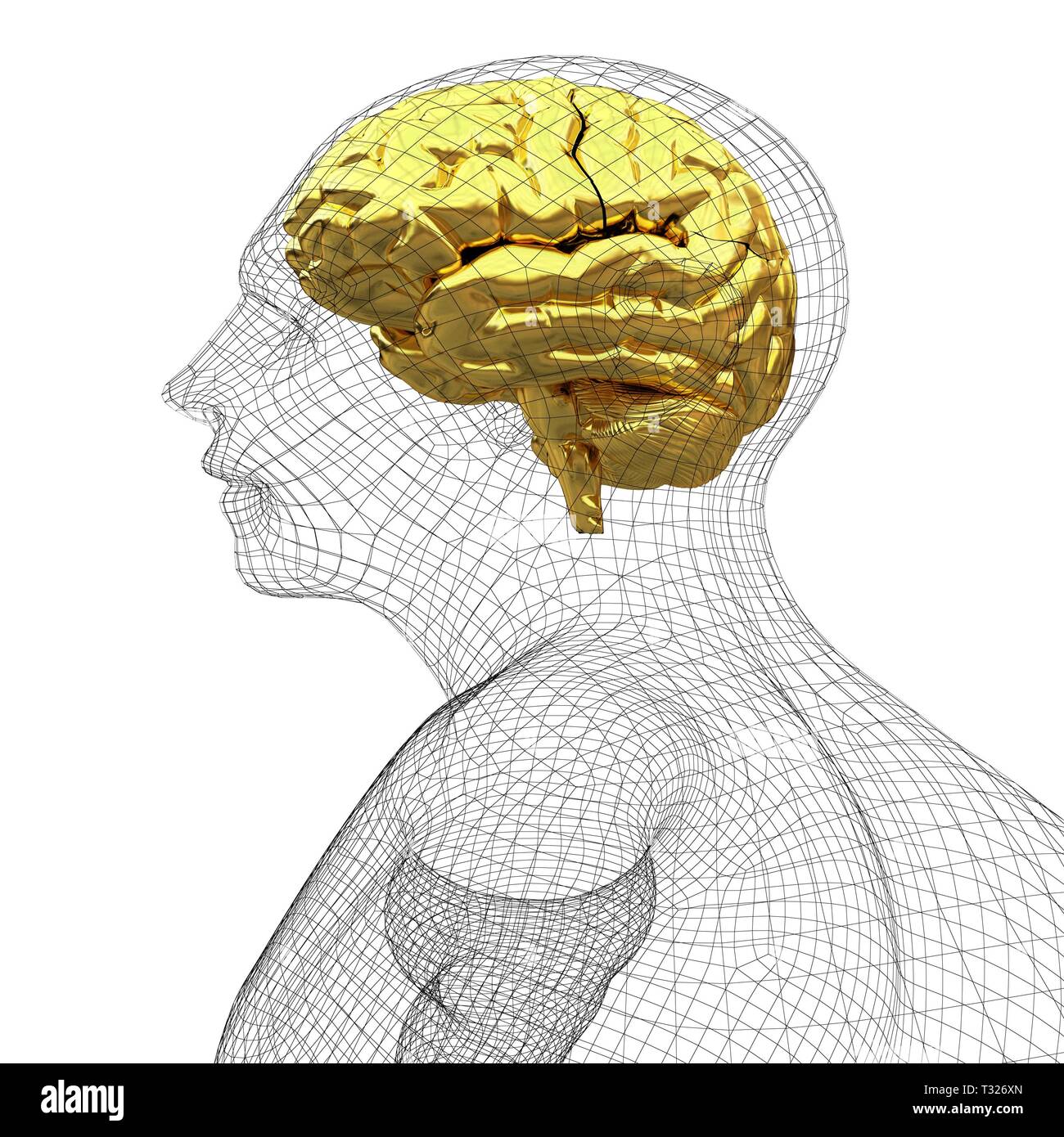 Wire human head model with gold brain. 3d render Stock Photo - Alamy
