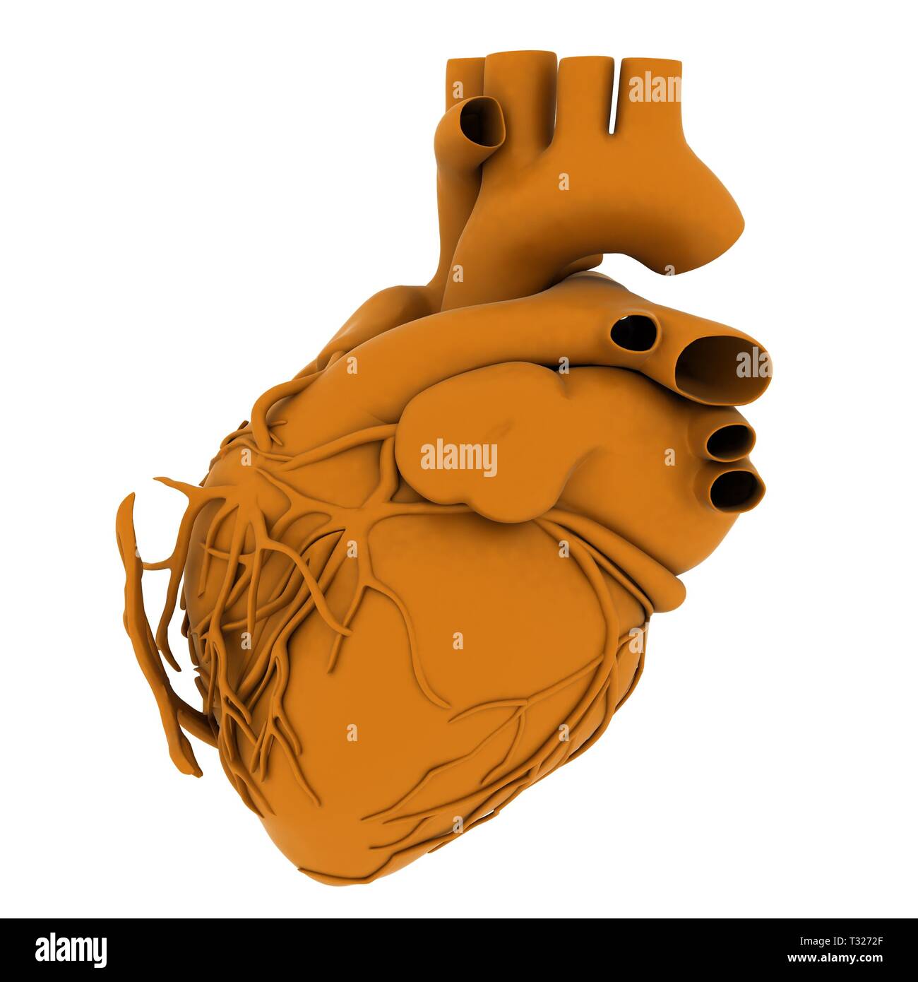Yellow human heart. 3d illustration Stock Photo - Alamy