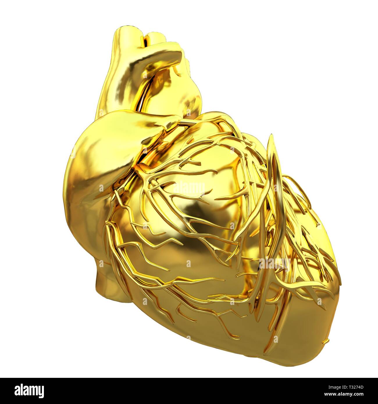 Golden Human Heart